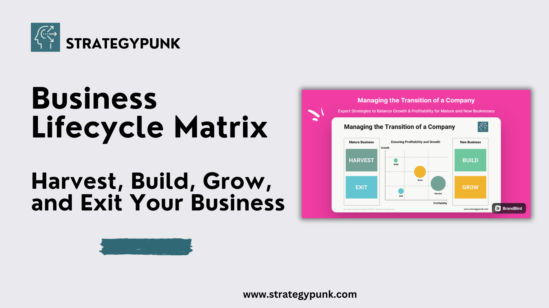 The Business Lifecycle Matrix: A Guide to Harvest, Build, Grow, and ...